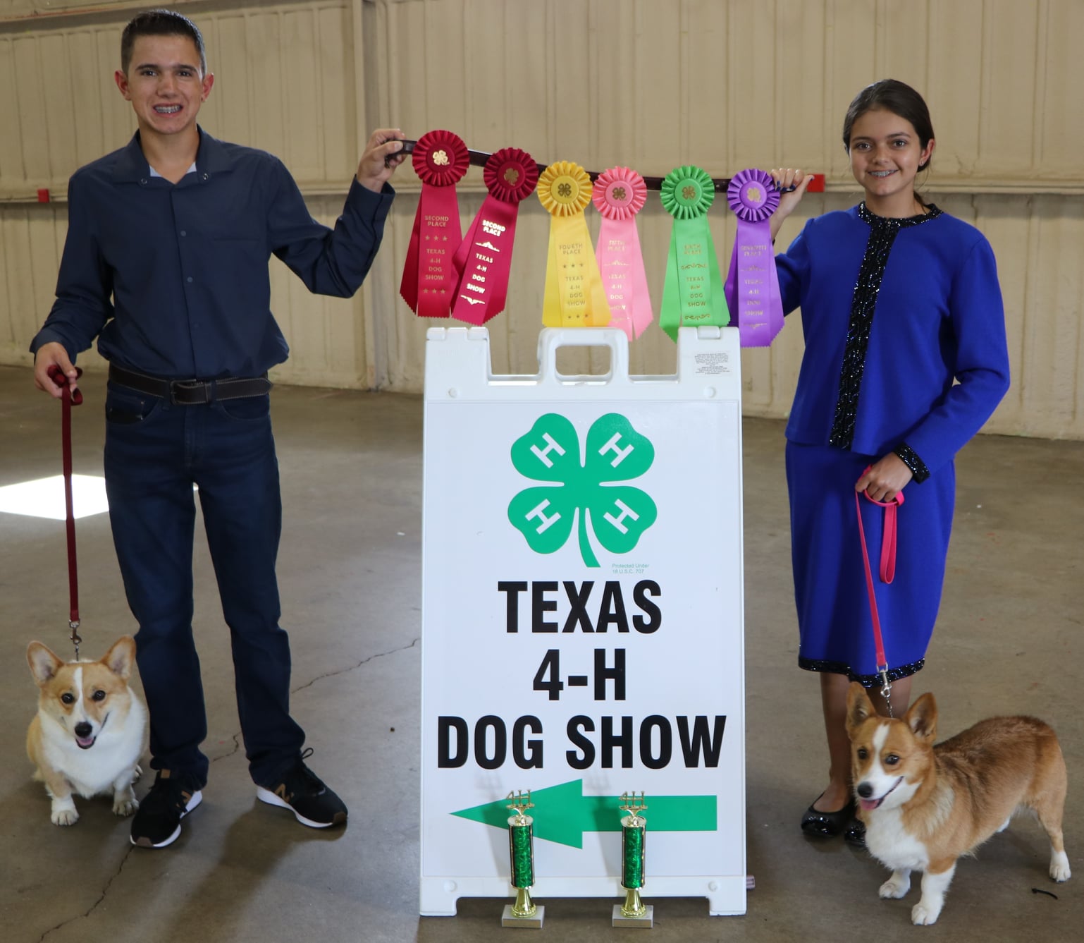 4H Dog Show Corgi Connection Of Central Texas